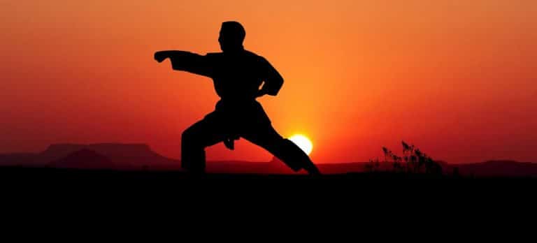 The Best Martial Arts for Short Guys - The Modest Man
