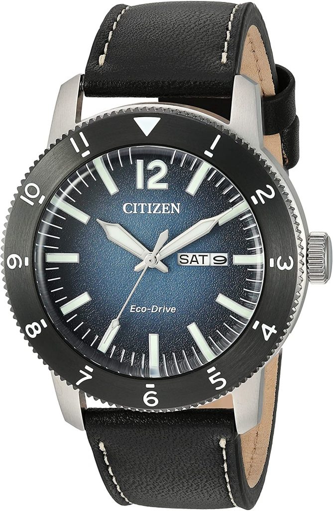 The 10 Best Citizen Watches for Men - The Modest Man