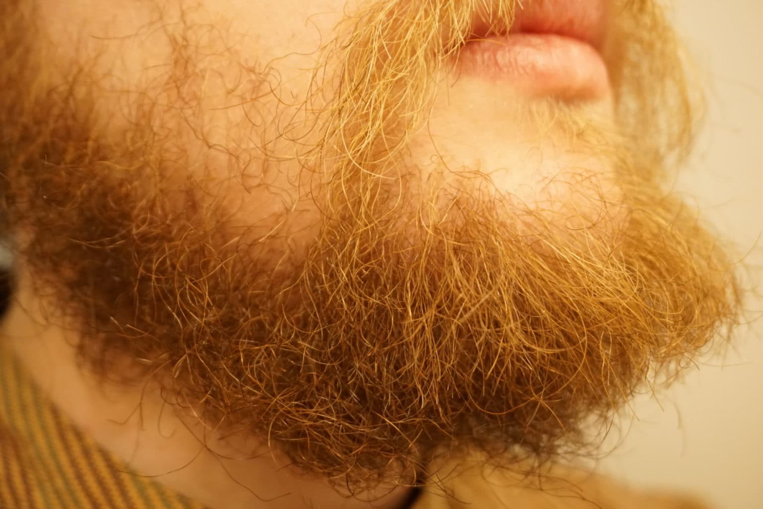 Beardbrand Review: Premium Men's Grooming Products