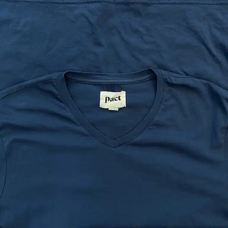 8 Best V-Neck T-Shirts for Men - The Modest Man