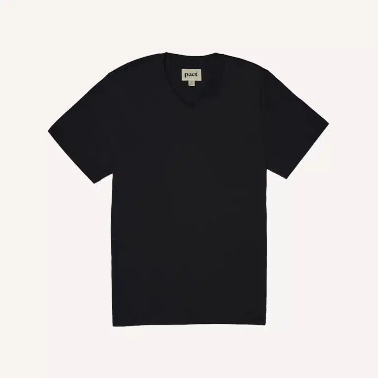 8 Best V-Neck T-Shirts for Men - The Modest Man