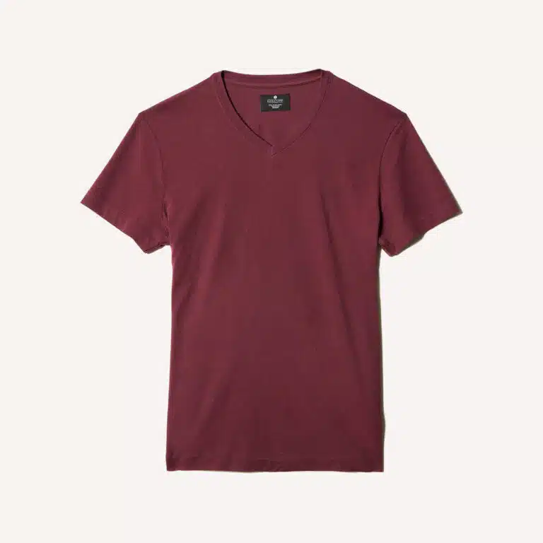 8 Best V-Neck T-Shirts for Men - The Modest Man