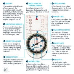 A Beginner's Guide to Compasses - The Modest Man