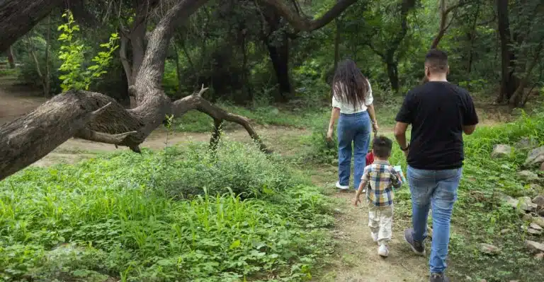 15 Offline Activities That Bring Real Joy