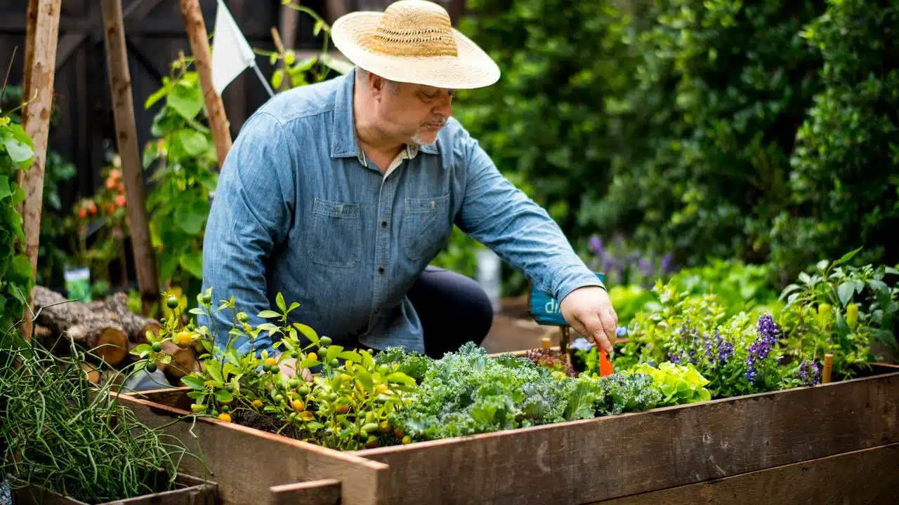 15 Fun Retirement Hobbies That Will Make Life More Enjoyable - The ...