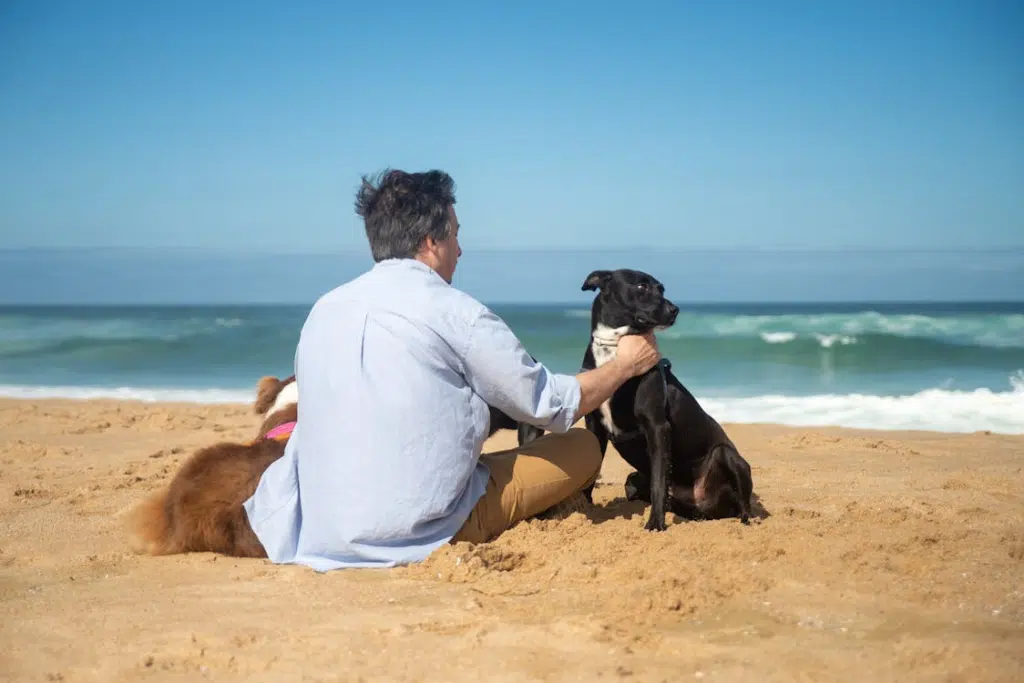 15 Unexpected Truths About Why Women at 40 Prefer a Man with a Dog ...