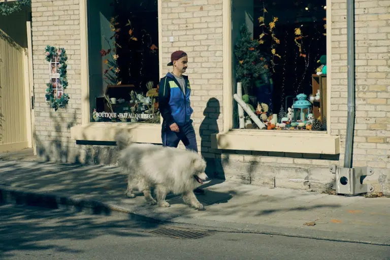 15 Unexpected Truths About Why Women at 40 Prefer a Man with a Dog ...